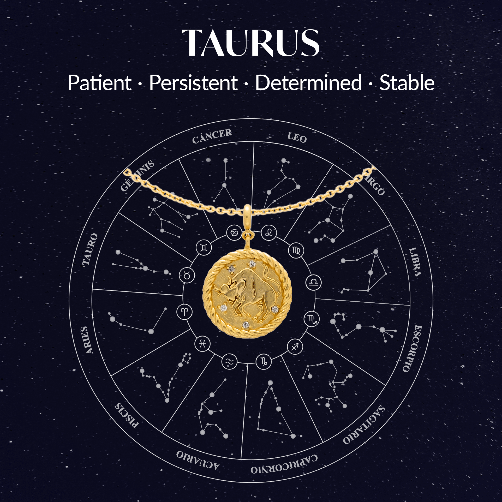 Horoscope charms for taurus zodiac sign necklace | LAVANI Jewels